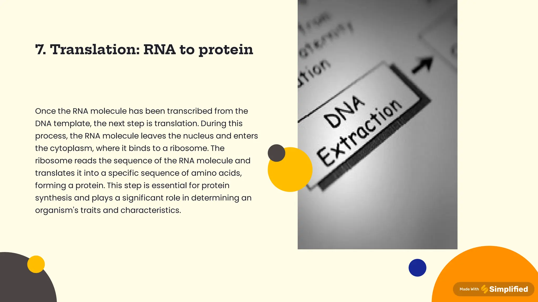 decoding-the-blueprint-of-life-a-comprehensive-guide-to-dna-and-rna.pdf ...