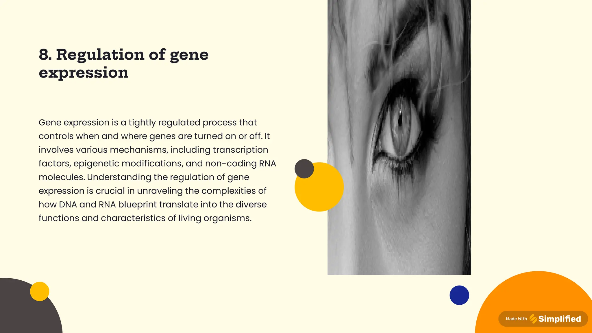 decoding-the-blueprint-of-life-a-comprehensive-guide-to-dna-and-rna.pdf