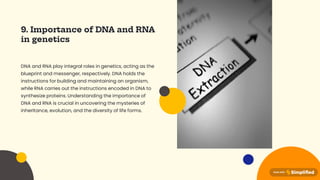 decoding-the-blueprint-of-life-a-comprehensive-guide-to-dna-and-rna.pdf ...