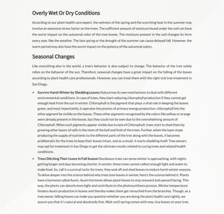 Decoding The Seasons: Why Trees Shed Their Leaves Naturally | PDF ...