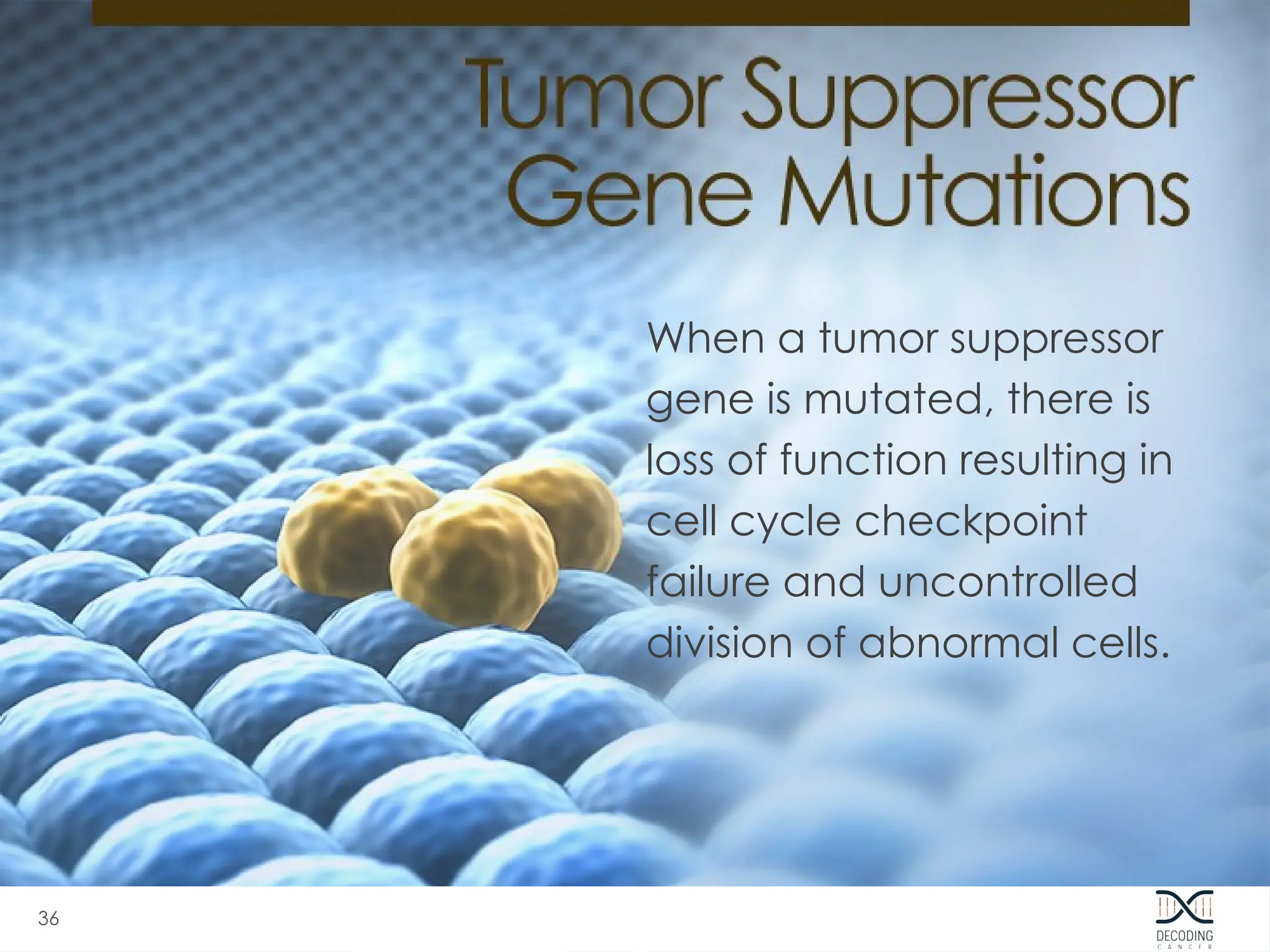 Decoding Cancer_Lesson 1_Interactive Lesson_July_2018.pptx