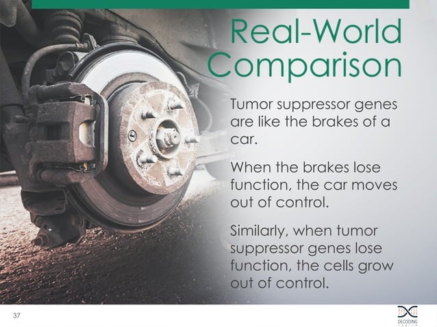 Decoding Cancer_Lesson 1_Interactive Lesson_July_2018.pptx