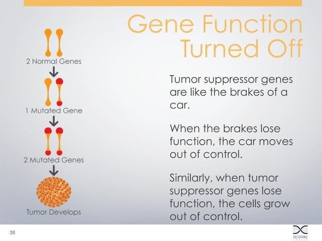 Decoding Cancer_Lesson 1_Interactive Lesson_July_2018.pptx