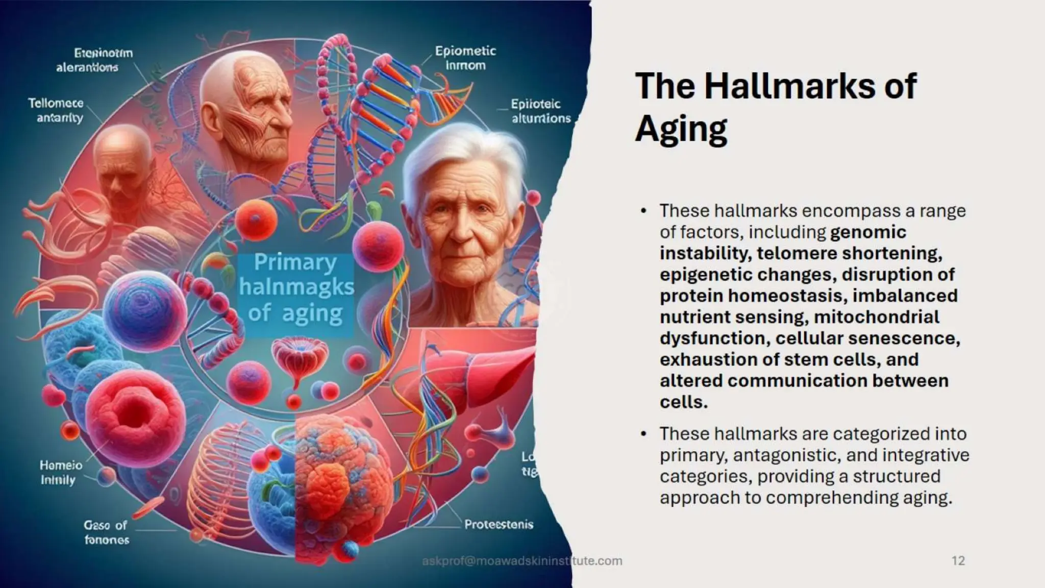 Decoding Facial Aging. An In-Depth Exploration of Aging Hallmarks.pptx