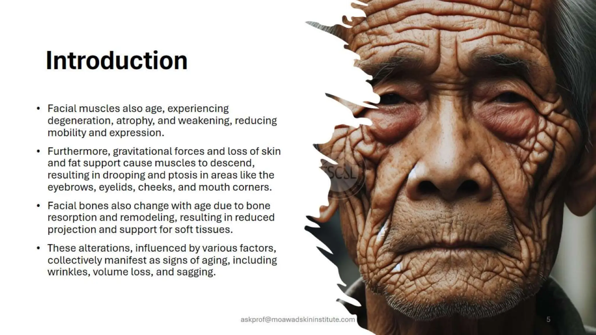 Decoding Facial Aging. An In-Depth Exploration of Aging Hallmarks.pptx