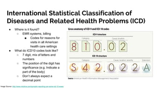 Decoding healthcare codes: ICD-10, DRG, CPT, HCPCS | PDF