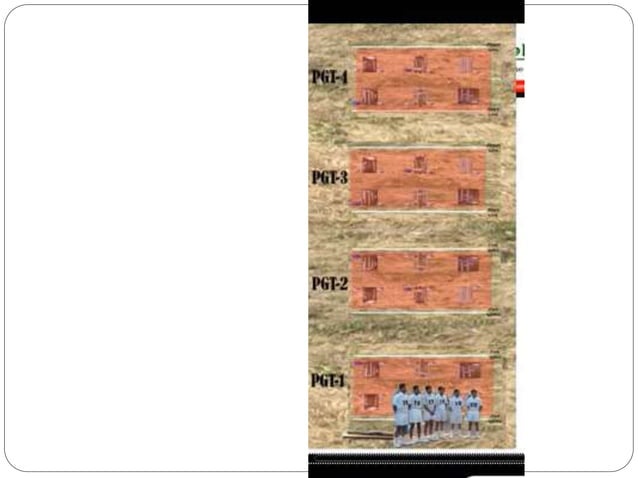 Decoding PGT HGT CT and FGT in SSB | PPTX | Science