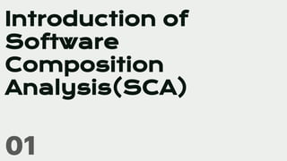 Decoding Software Composition Analysis (SCA) - Unveiling Pain Points in SCA - Kaiwen Jiang.pdf