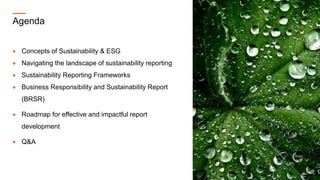 Webinar: Decoding Sustainability Reporting | PDF