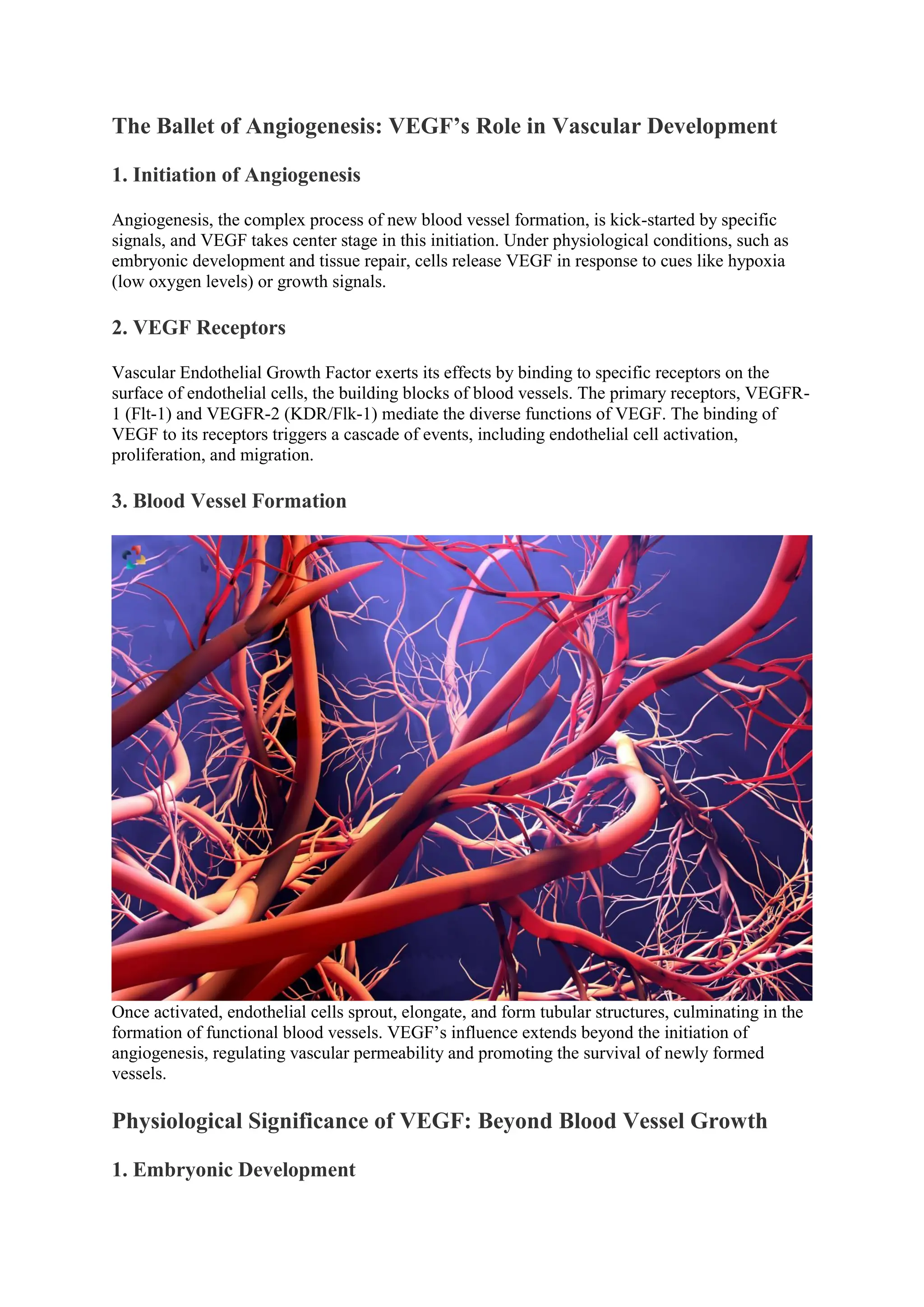 Vascular Endothelial Growth Factor (VEGF): Role, Family, Disease ...