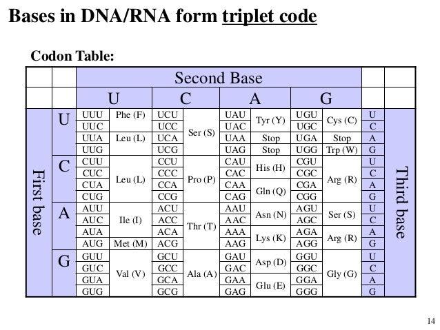 Decoding the Flu case study