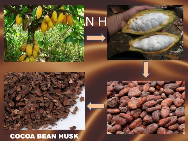 decoding the mystery of dark chocolate.pptx decoding the mystery of dark chocolate.pptx