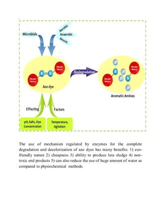 Decoloration of Industrial Azodyes using Bacteria Acinetobacter junii | PDF