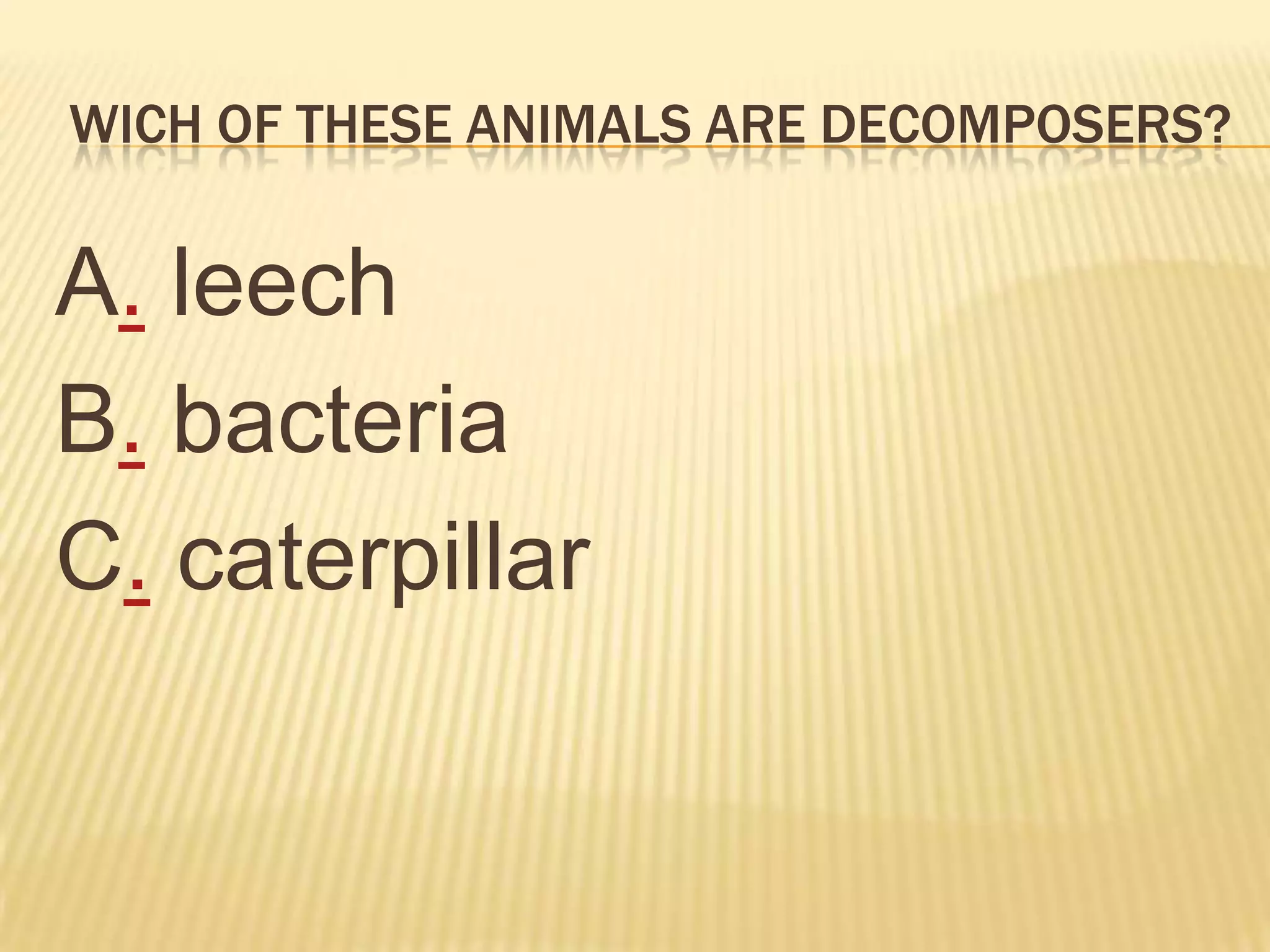 Decomposers | PPT