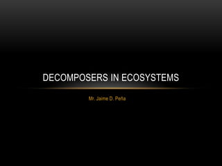Decomposers' Vital Role in Ecosystems | PPT