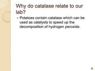 Decomposition of hydrogen peroxide using potatoes | PPTX