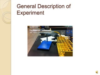 Decomposition of hydrogen peroxide using potatoes | PPTX | Chemistry ...