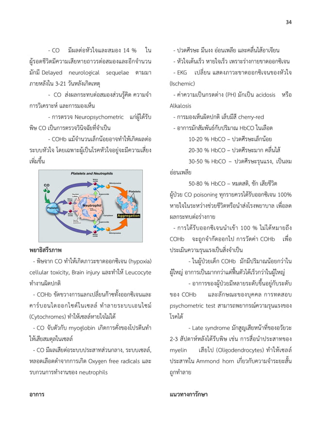Diagnosis and Treatment of Decompression Sickness and Arterial Gas ...