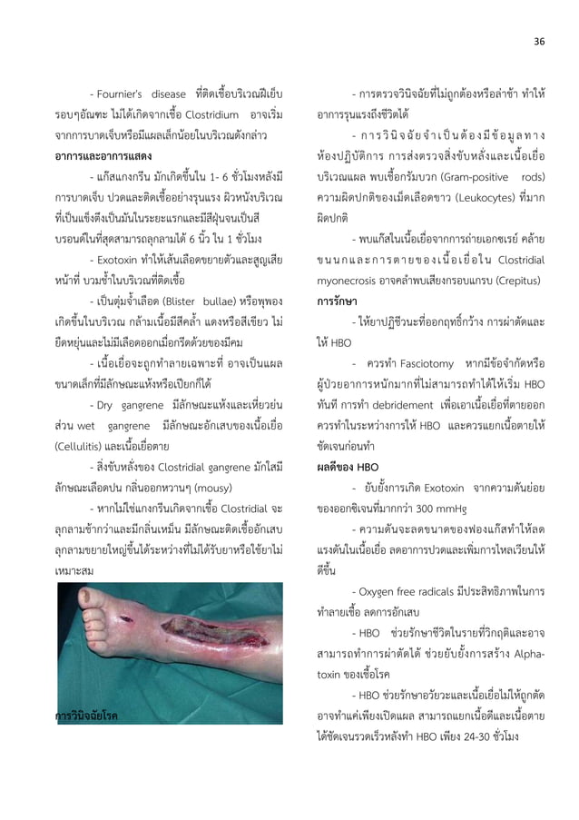 Diagnosis and Treatment of Decompression Sickness and Arterial Gas ...