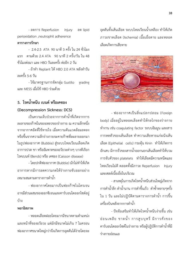 Diagnosis and Treatment of Decompression Sickness and Arterial Gas ...