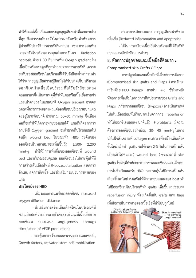 Diagnosis and Treatment of Decompression Sickness and Arterial Gas ...