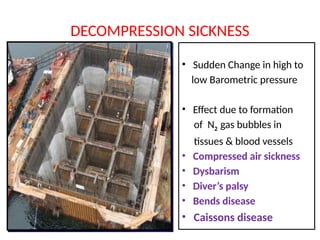decompression sickness logi best retouch4me | PPT