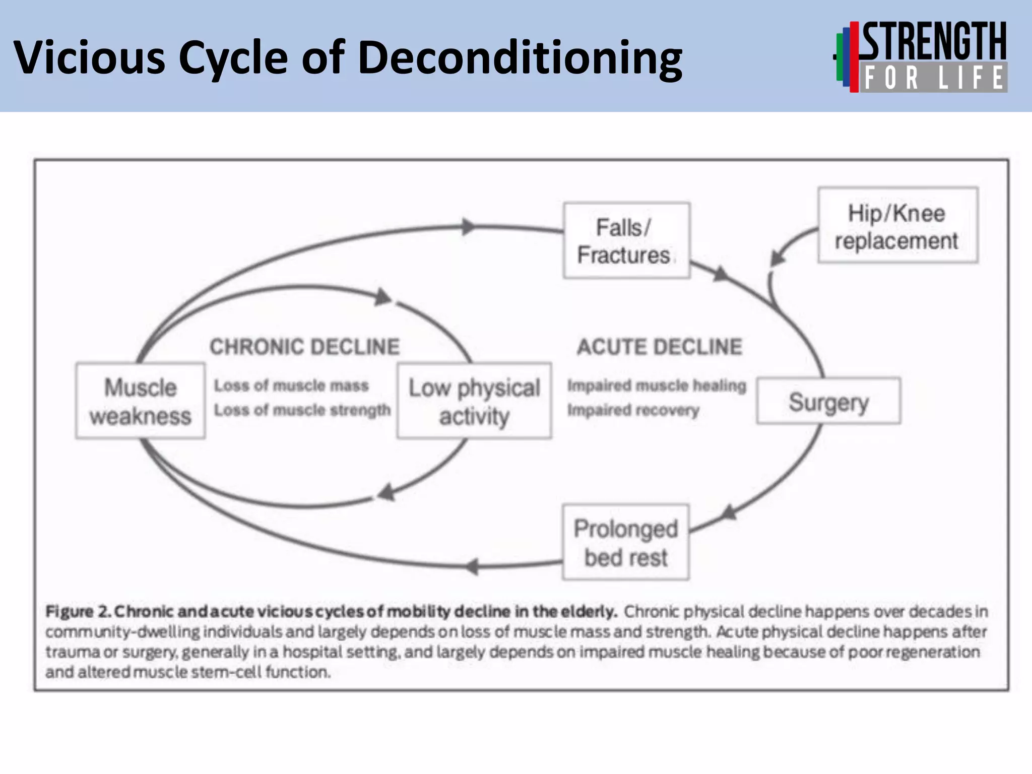 Deconditioning | PDF