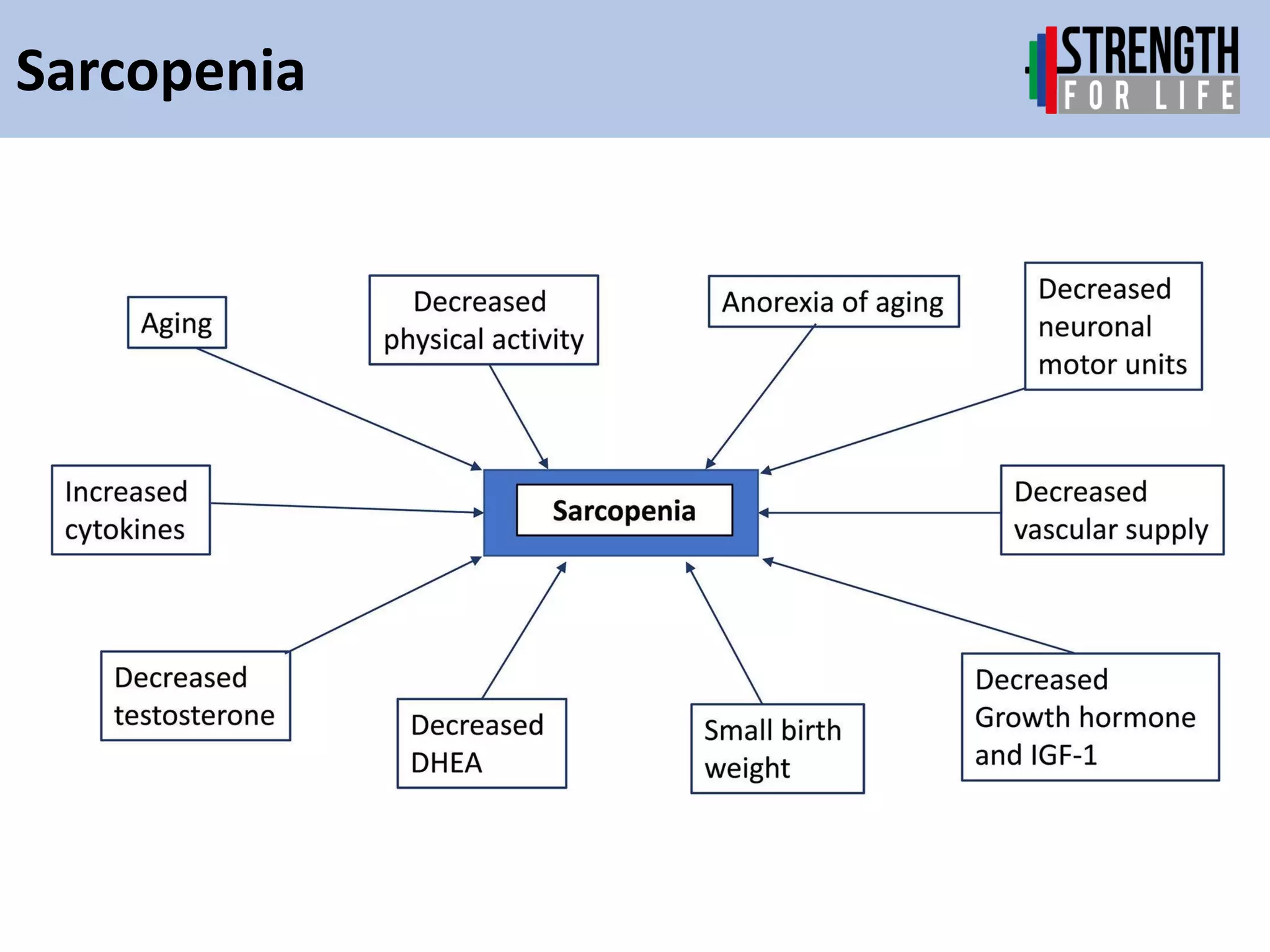 Deconditioning | PDF
