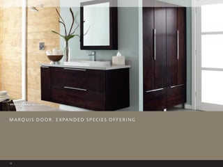 Decora 2014 Launch | PPT