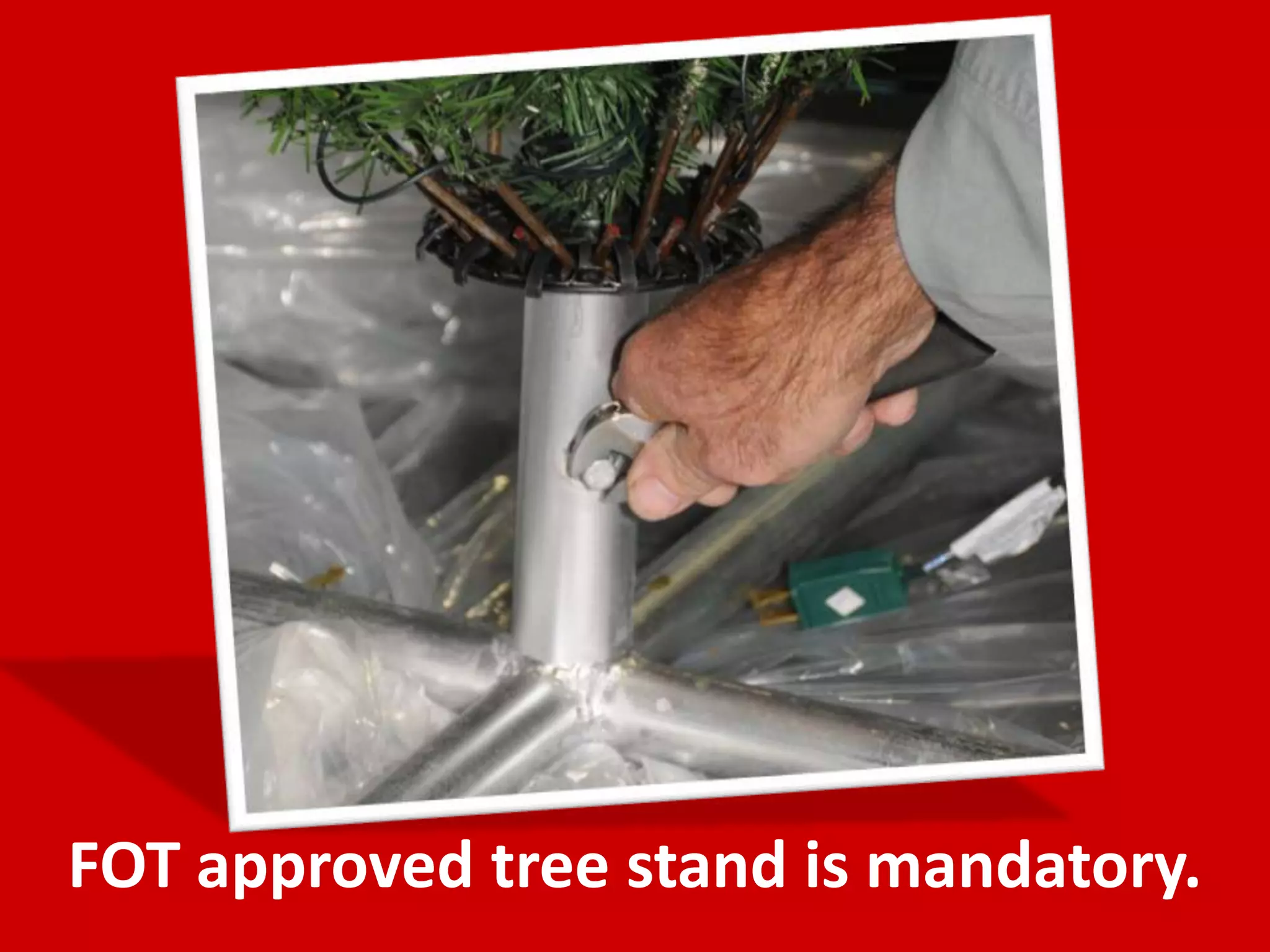 Decorating Day Guidelines | PPTX