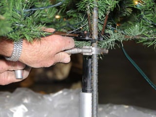 Decorating Day Guidelines | PPTX