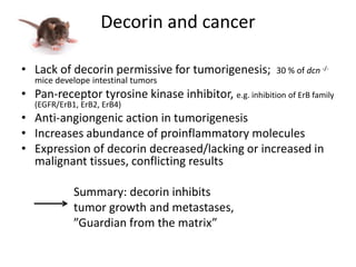 Decorin in human epithelial cancers | PPT