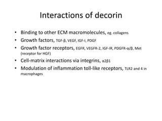 Decorin in human epithelial cancers | PPT