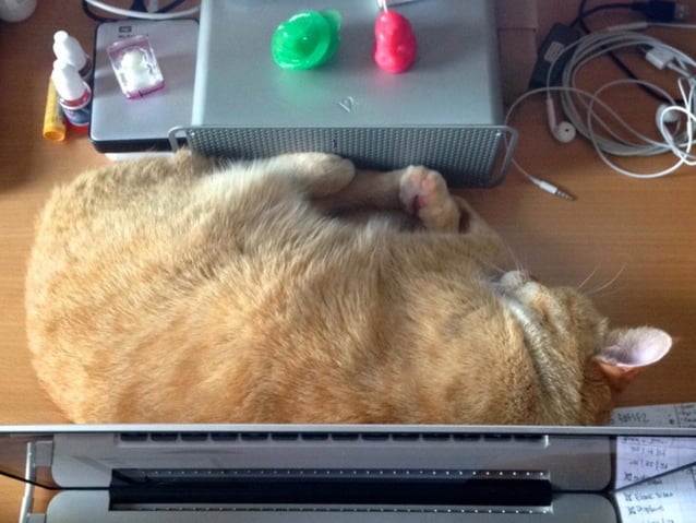 Decoupling the Front-end with Modular CSS | PPT