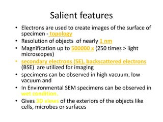 Powerpoint presentation on electron microscopy | PPTX
