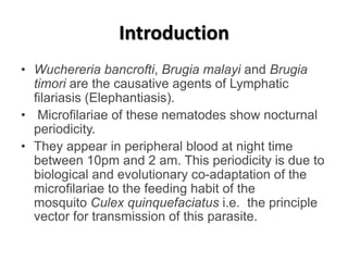 Dec provocation test (lymphatic filiarisis) | PPTX