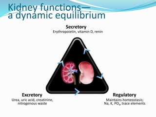 Decreasing urea and creatinine in ckd | PPTX