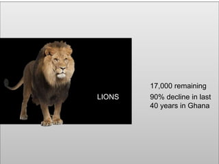 Decreasing wildlife on earth | PPTX