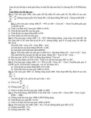 De cuong on tap toan 8 hoc ki 2 | PDF