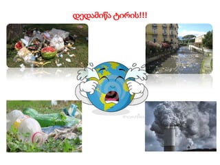 Dedamiwa tiris | PPT