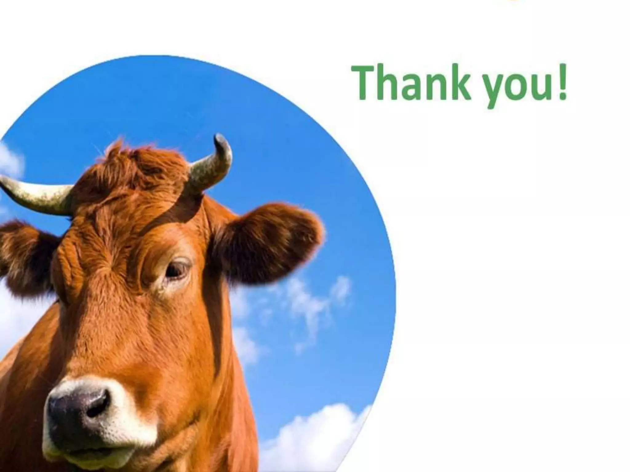 Dairy Entrepreneurship Development Scheme | PPTX