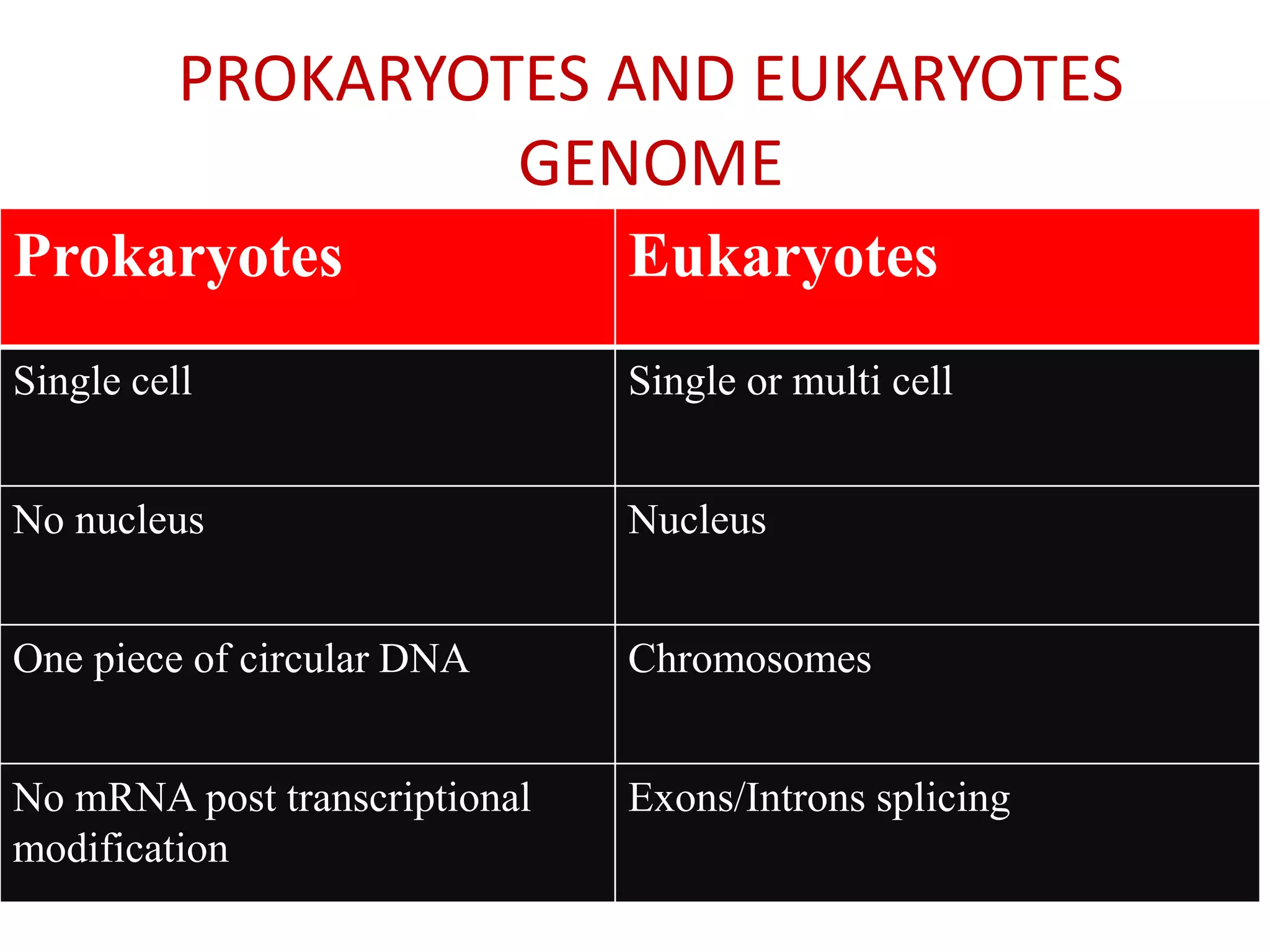 PPT ON MICROBIAL GENOME | PPTX