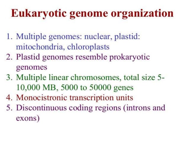 PPT ON MICROBIAL GENOME | PPTX