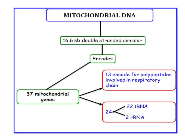 PPT ON MICROBIAL GENOME | PPTX