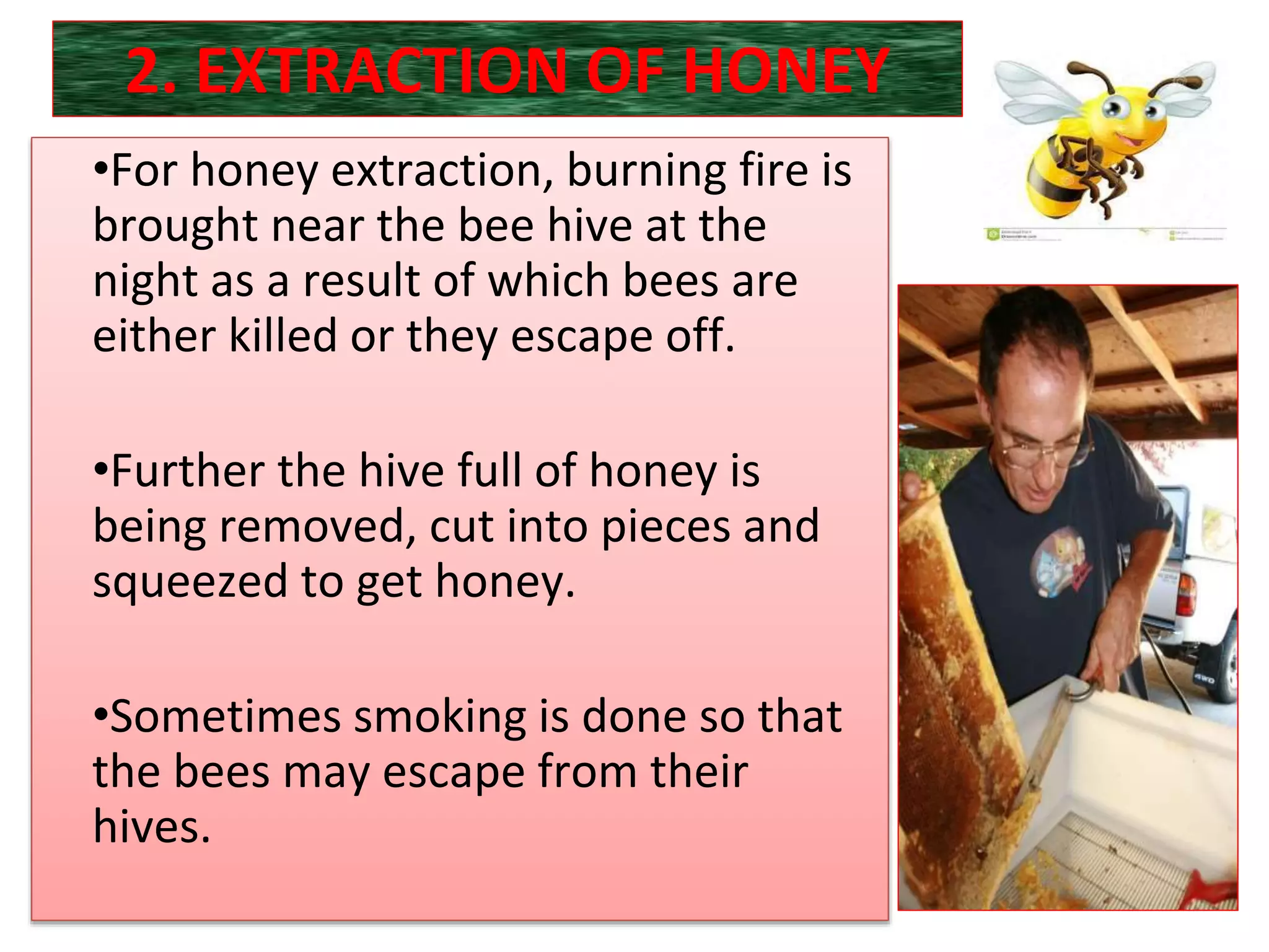 Method of Beekeeping | PPTX