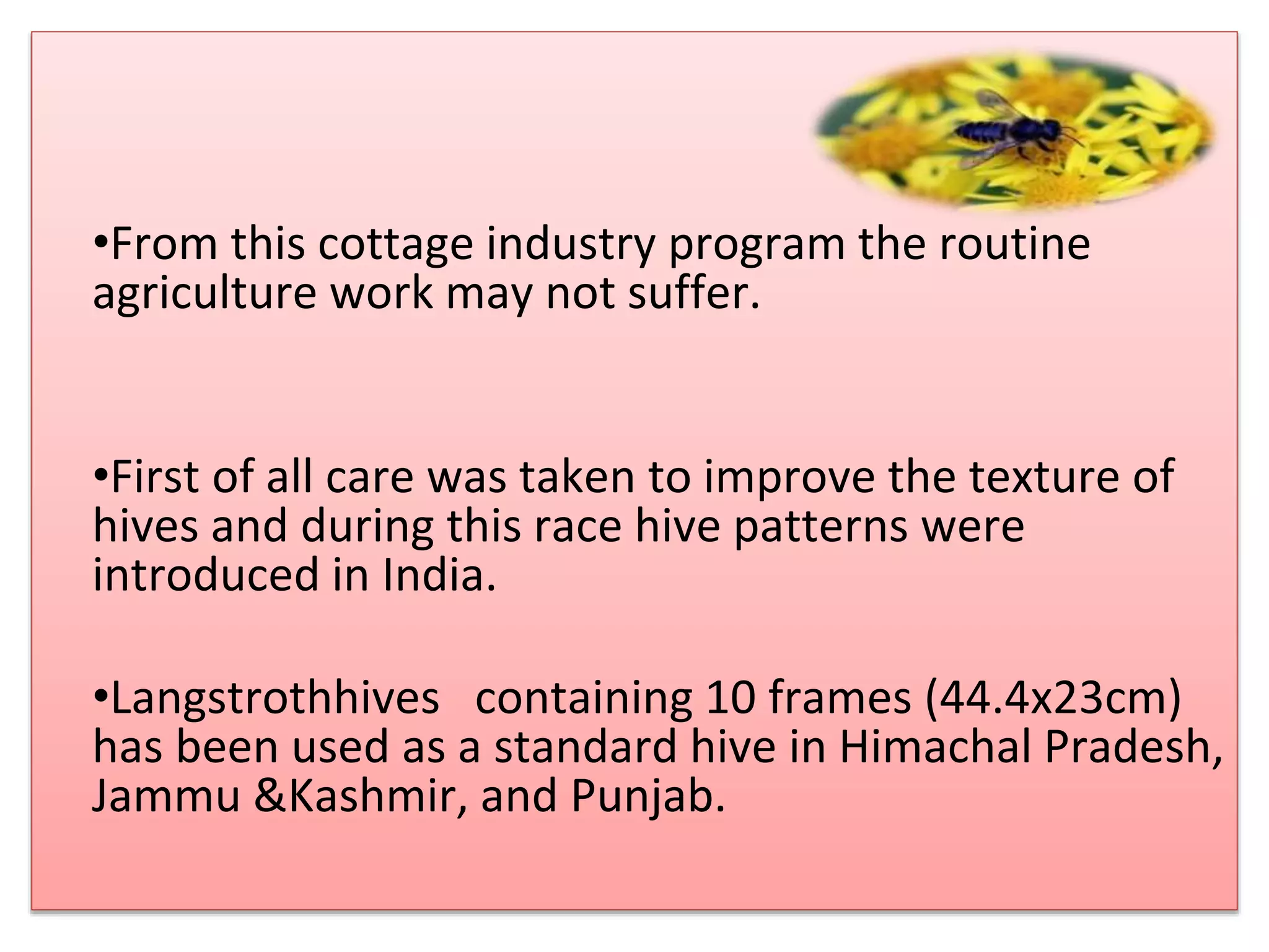 Method of Beekeeping | PPTX