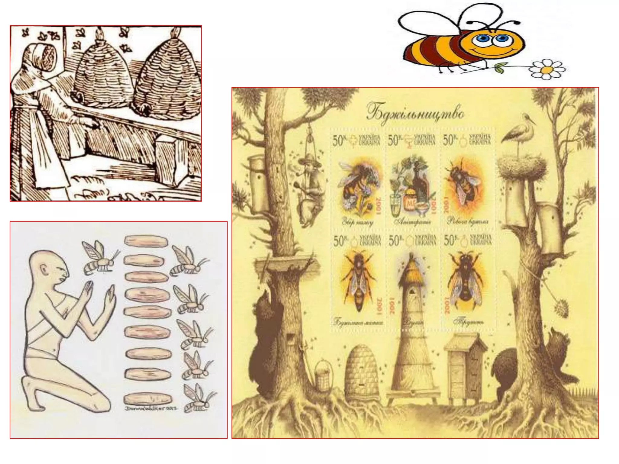Method of Beekeeping | PPTX