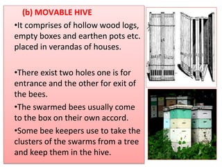 Method of Beekeeping | PPTX