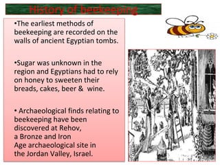 Method of Beekeeping | PPTX
