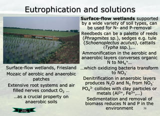 Ecological problems and solutions | PDF